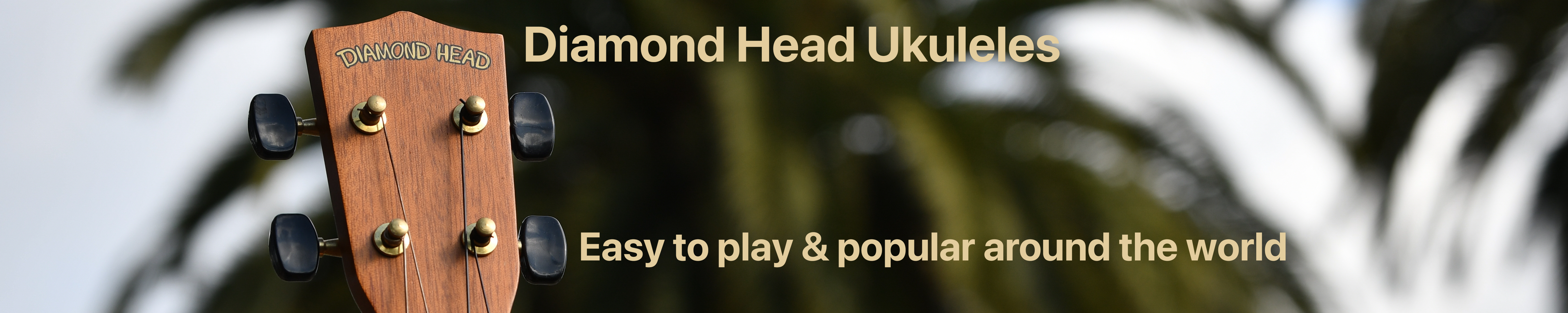 Amazon.com: Diamond Head