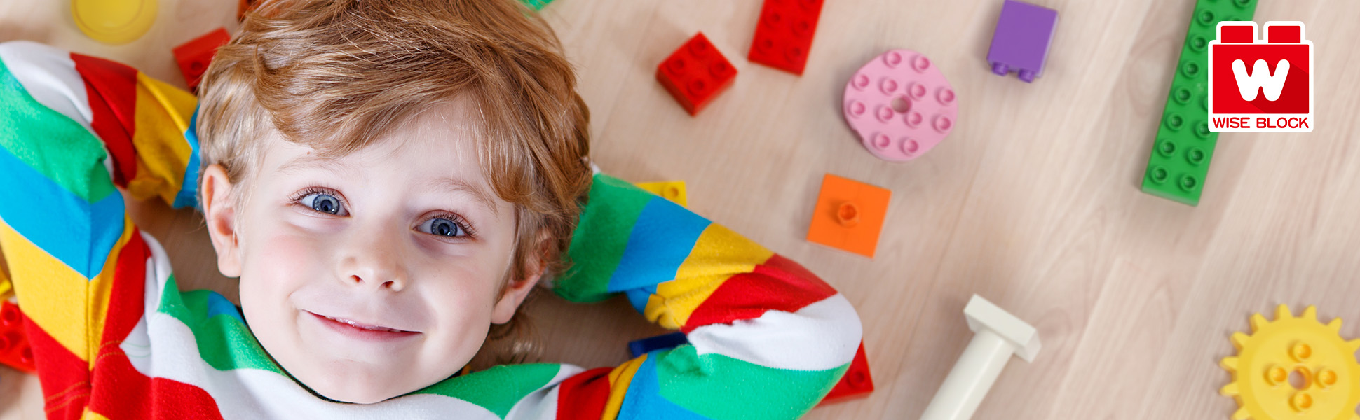 Amazon.com: WISE BLOCK