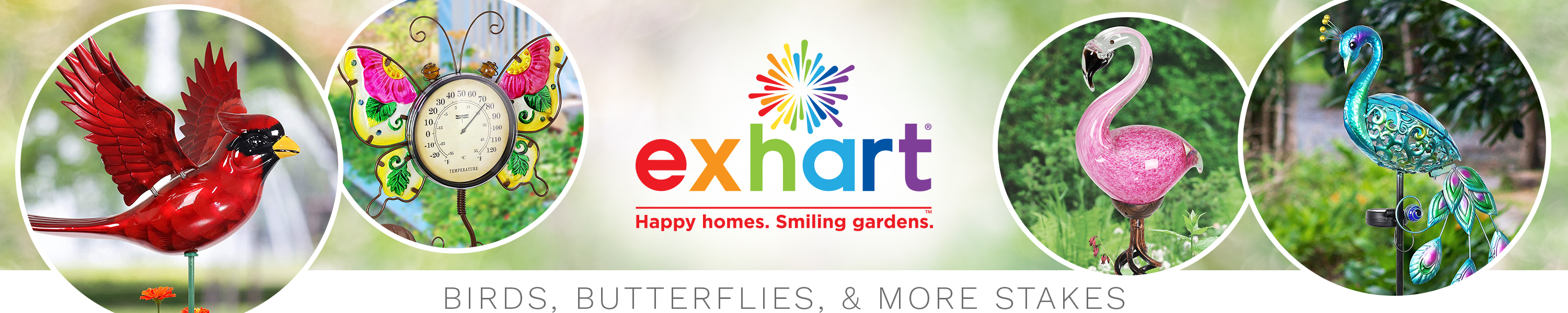 Amazon.com: Exhart: Birds, Butterflies & More