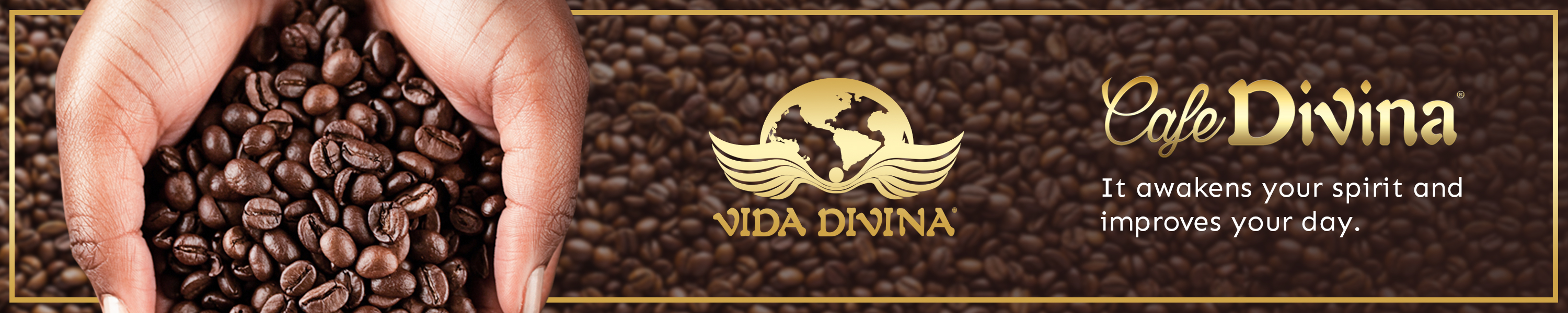 Amazon.com: Vida Divina: Cafe Divina