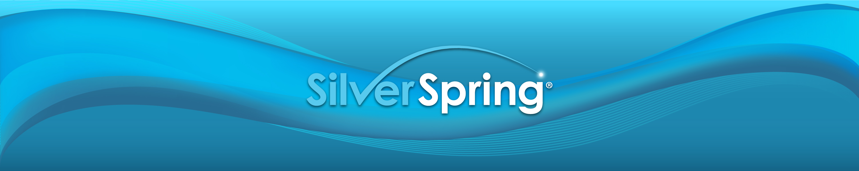 Amazon.com: Silver Spring: Modular Aluminum Entry Ramps (850 lb. Cap)