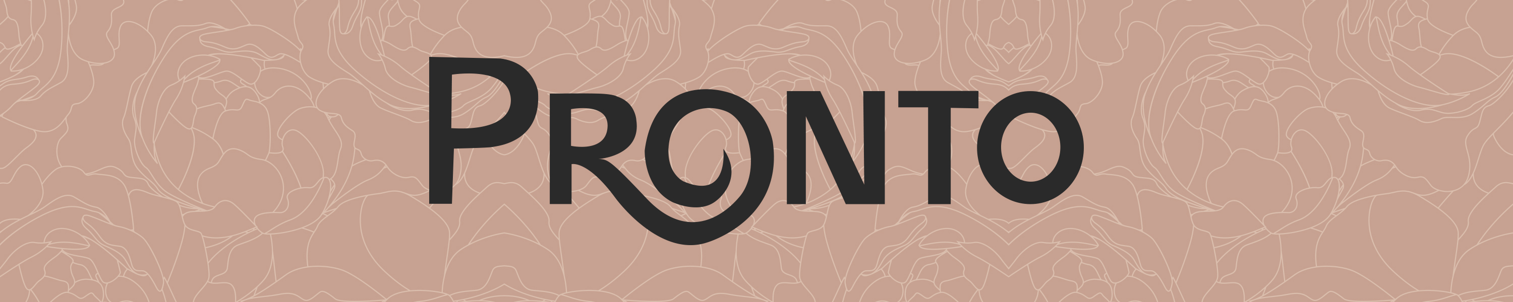 Amazon.com: Pronto: Accessories