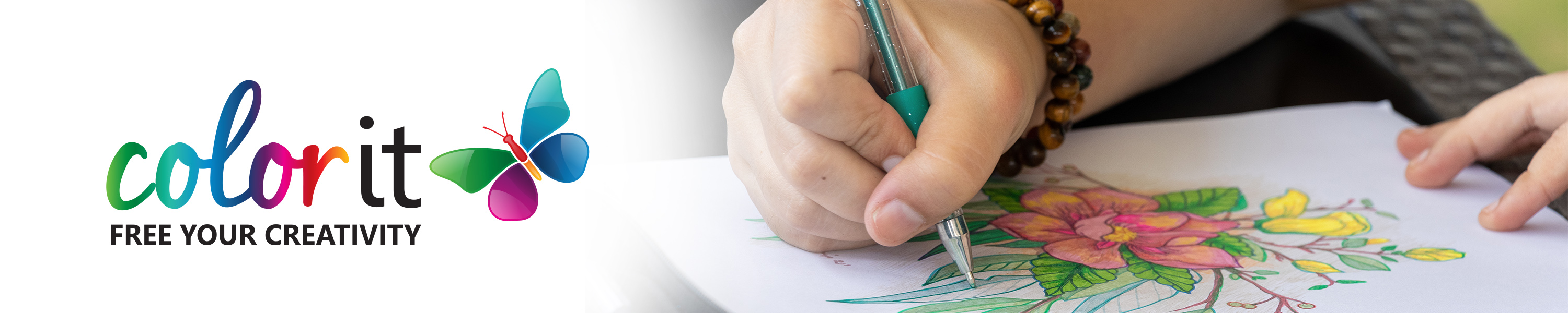 Amazon.com: ColorIt: Our Favorites