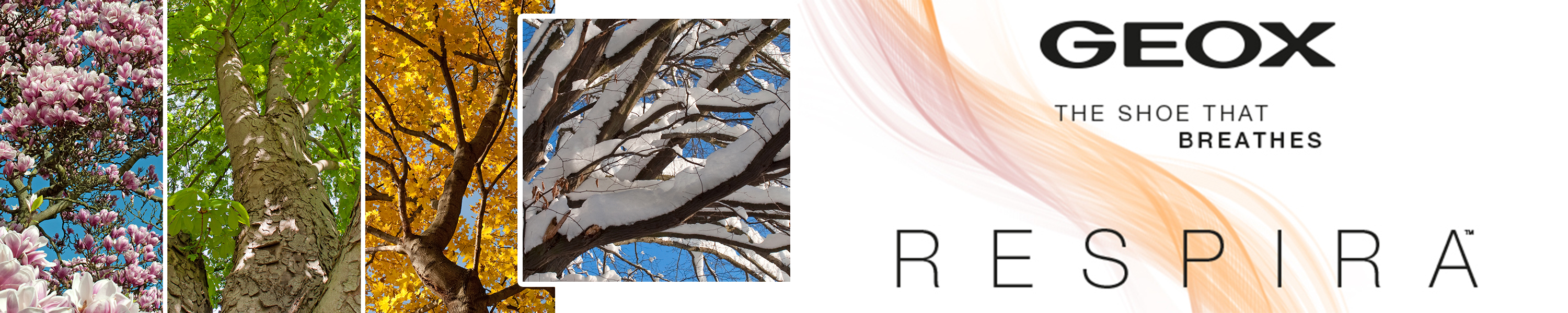 Amazon.com: Geox Footwear: Fall & Winter Collection