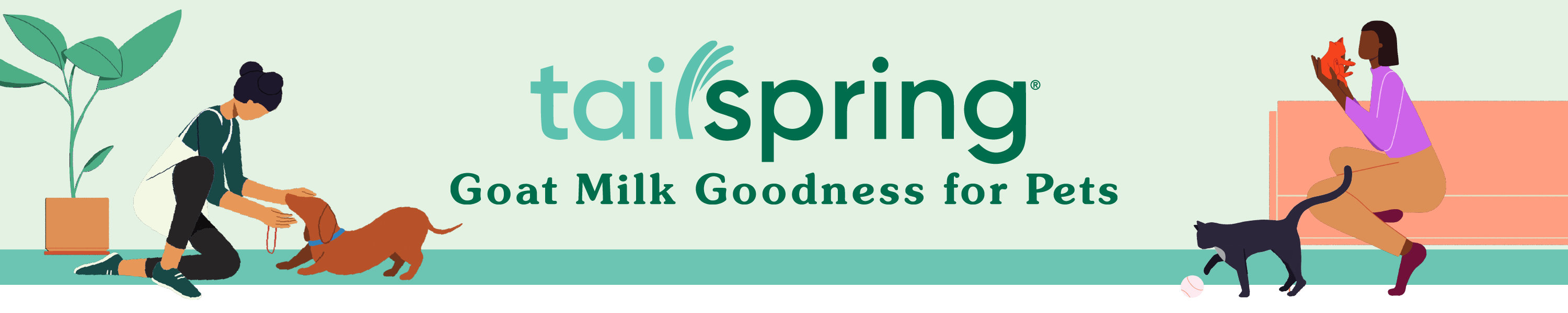 Amazon.com: Tailspring