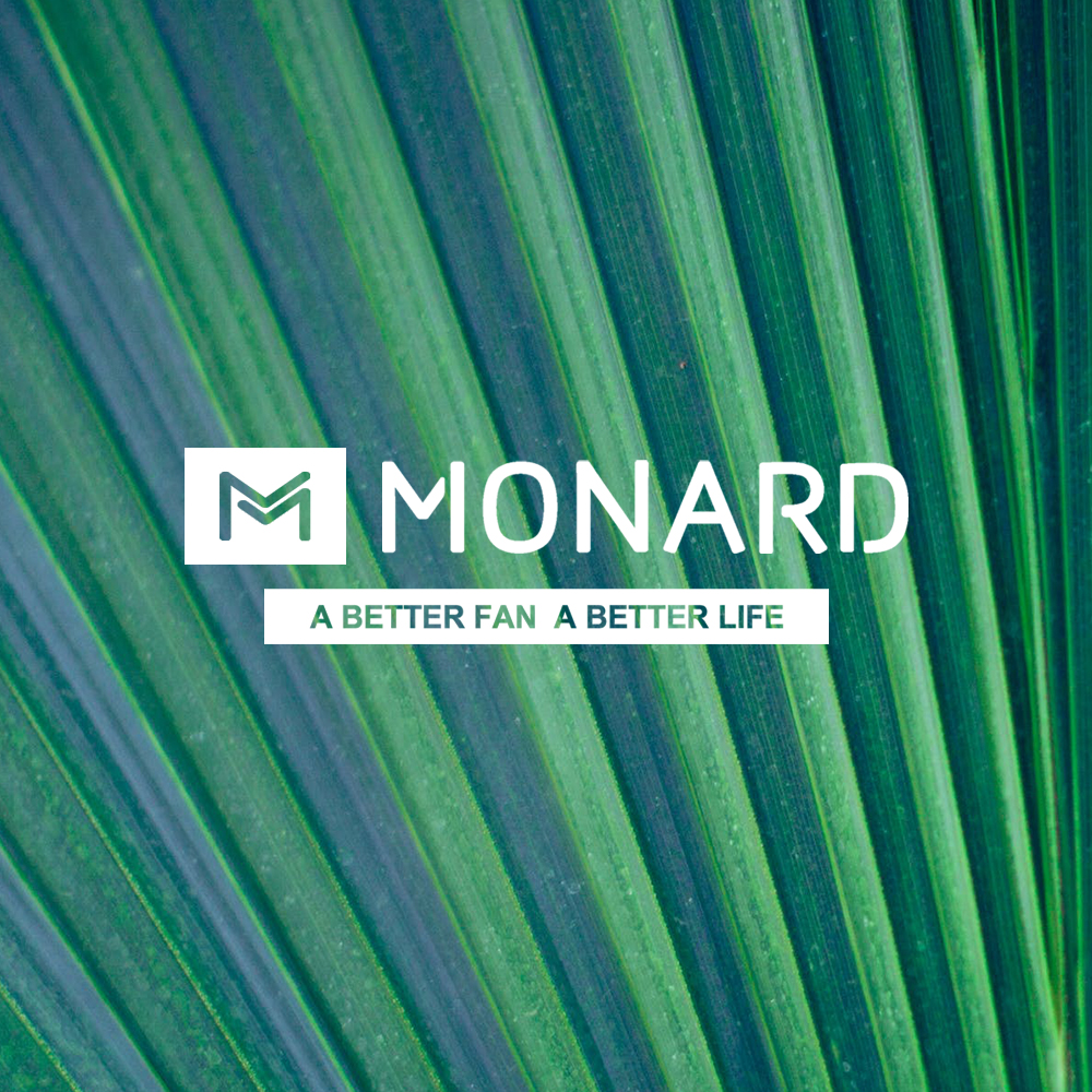 Amazon.com: MONARD