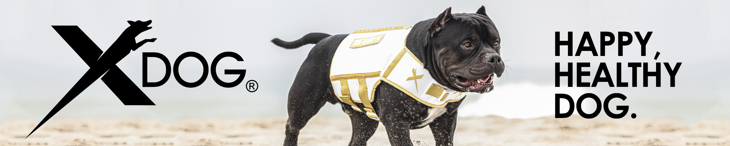 Amazon.com: XDOG: Weight Vests
