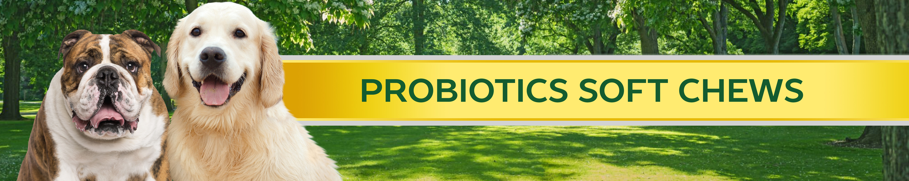 Amazon.com: 100 Paws: Probiotics