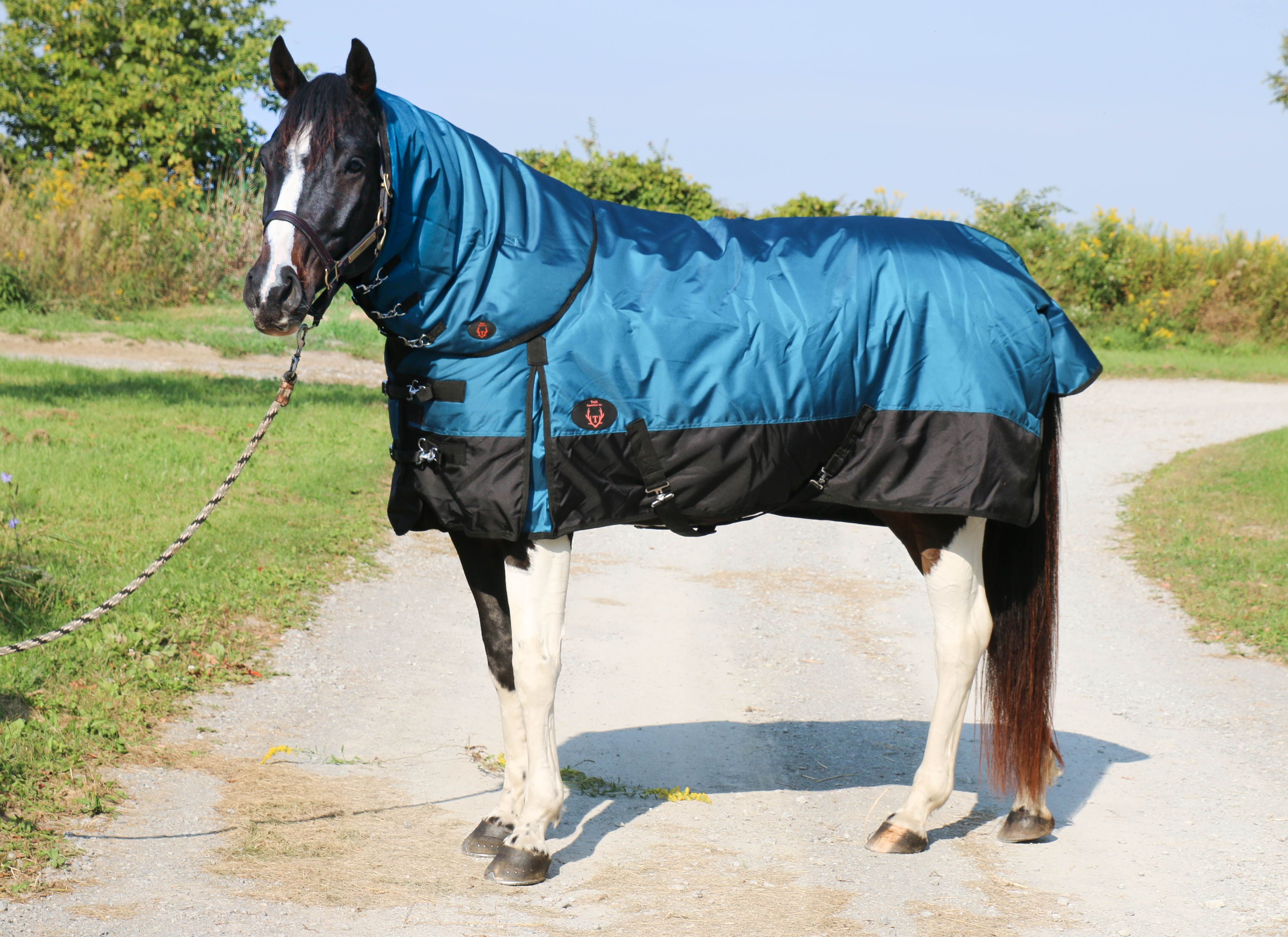 Amazon.com: Tech Equestrian