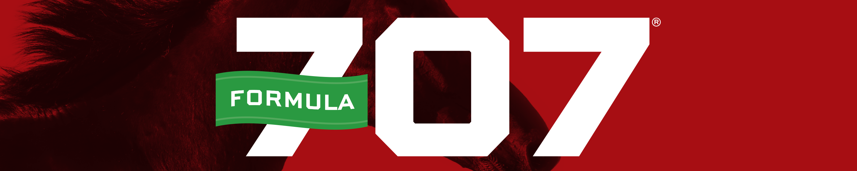 Amazon.com: Formula 707: Shop All