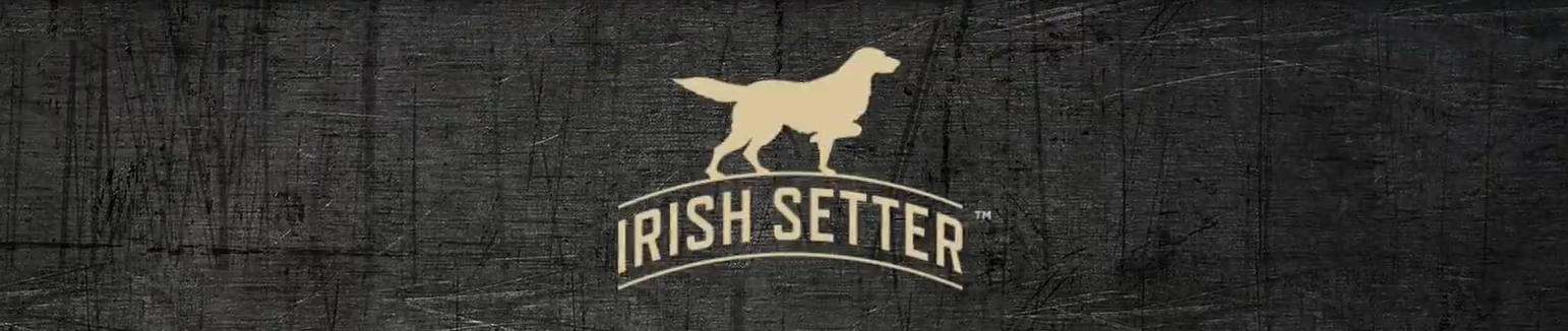 Amazon.com: IRISH SETTER: Big Game