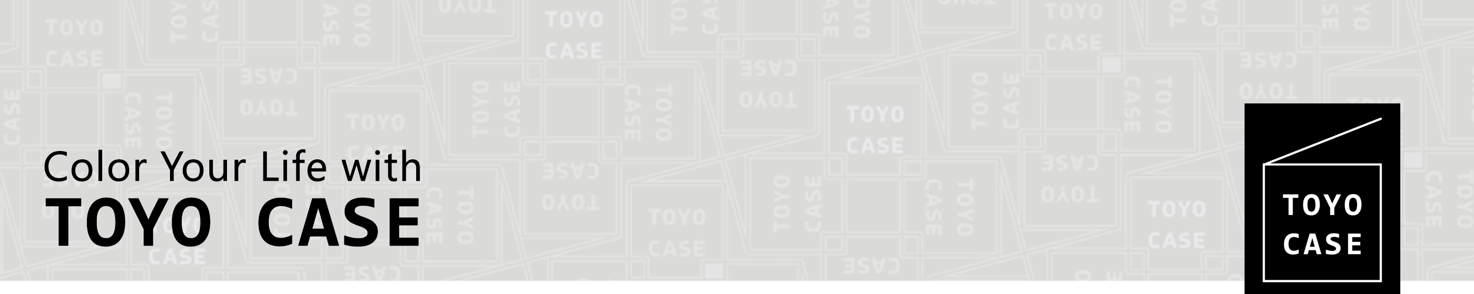 Amazon.com: TOYO CASE