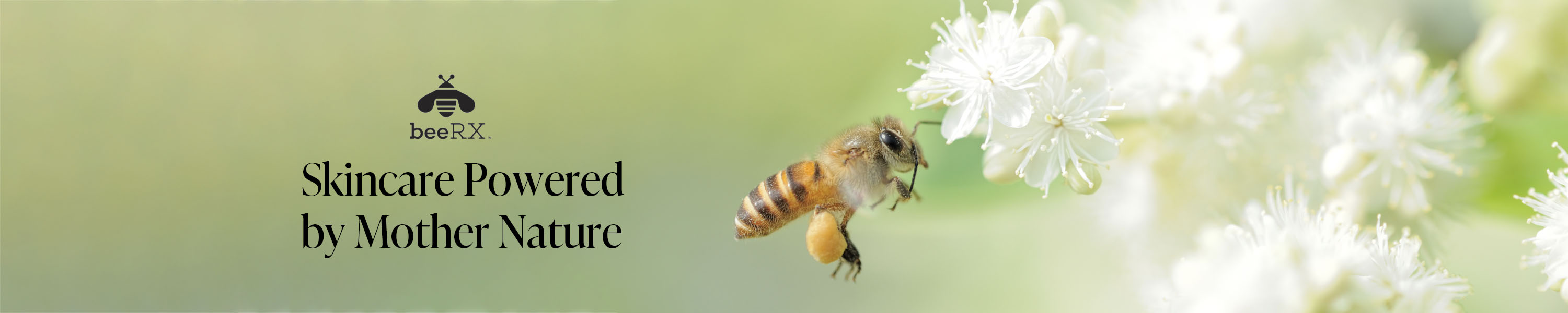 Amazon.com: Bee Rx: SHOP ALL