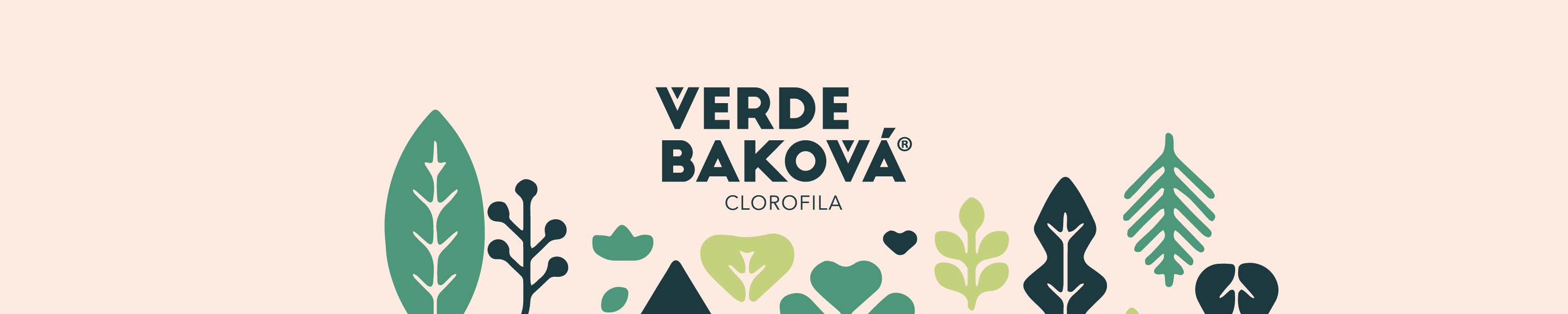 Amazon.com.mx: Verde Baková