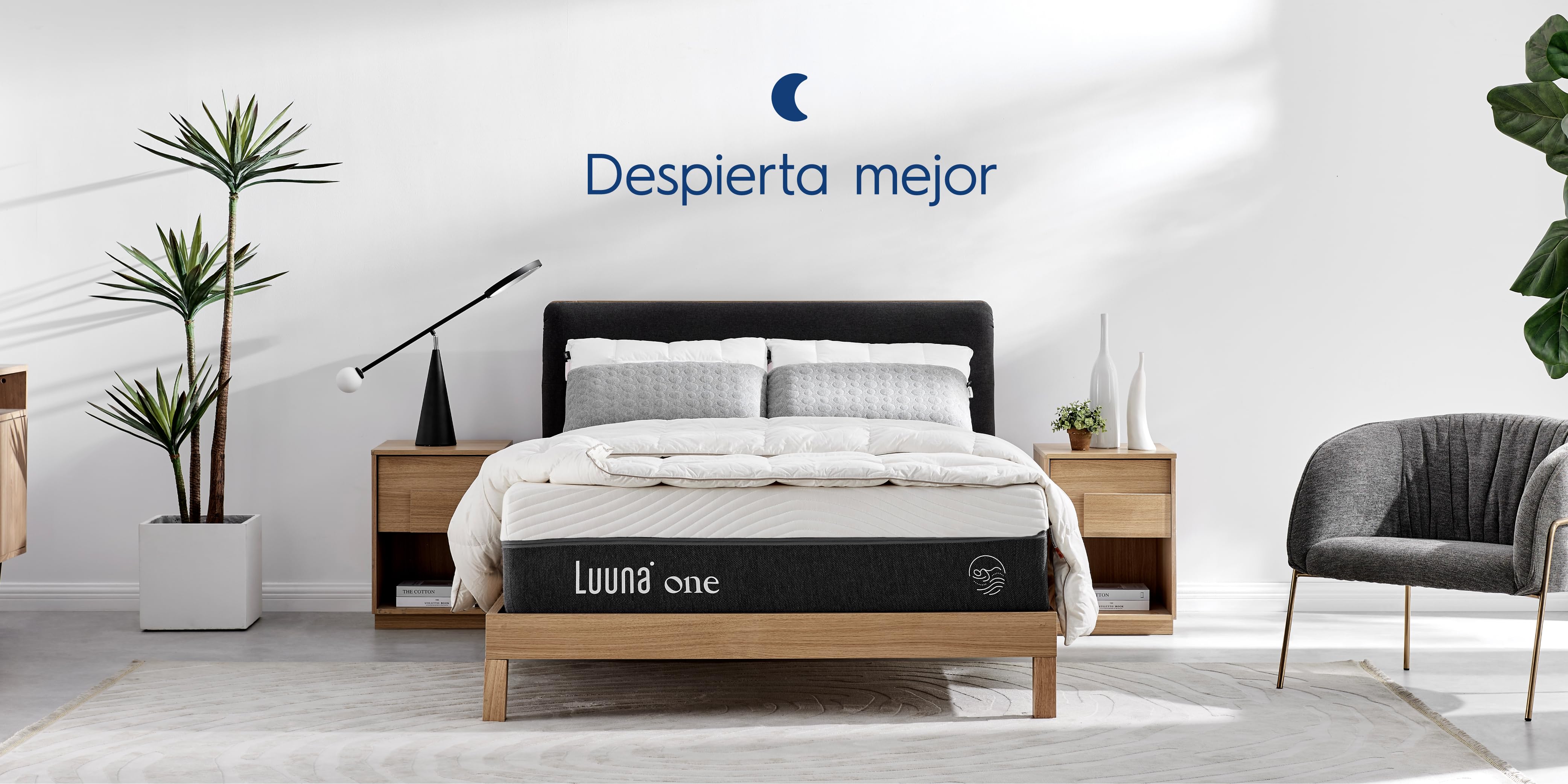 Amazon.com.mx: Luuna: Colchones