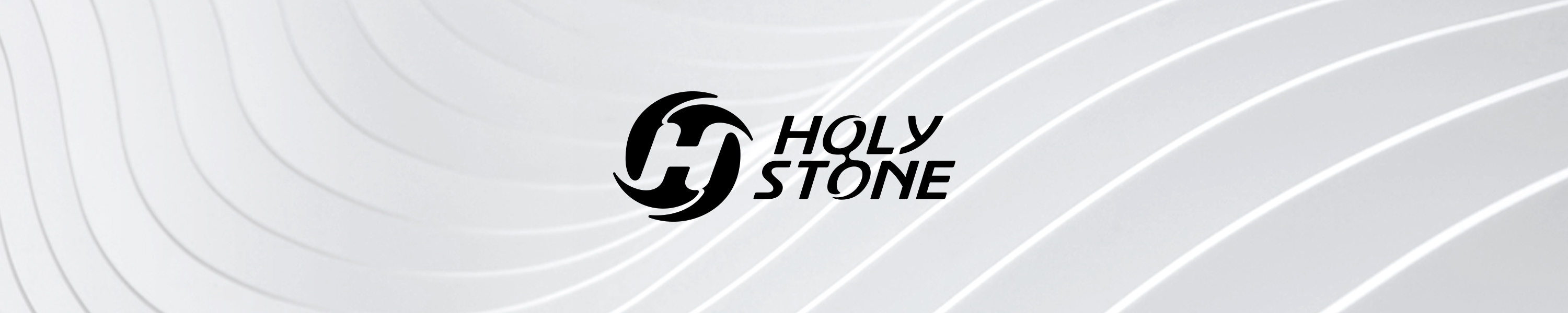 Amazon.ca: Holy Stone: HS450