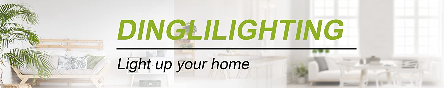 Amazon.ca: DINGLILIGHTING: CEILING LIGHTS