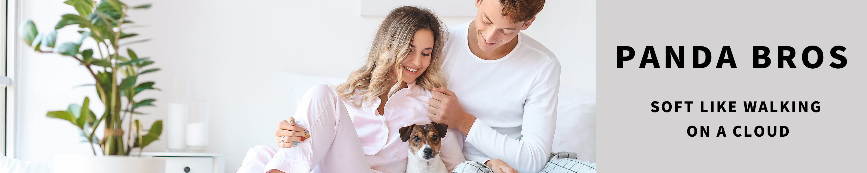 Amazon.ca: Panda Bros: ANIMAL