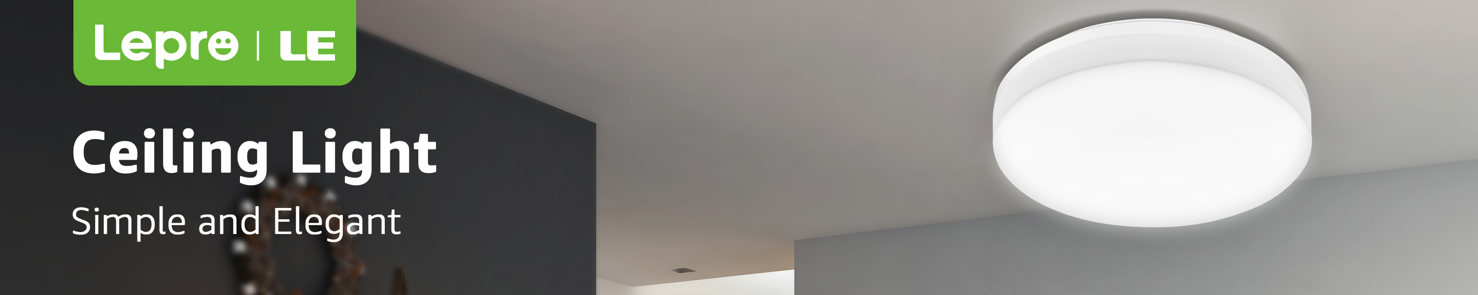 Amazon.ca: Lepro: Ceiling Lights