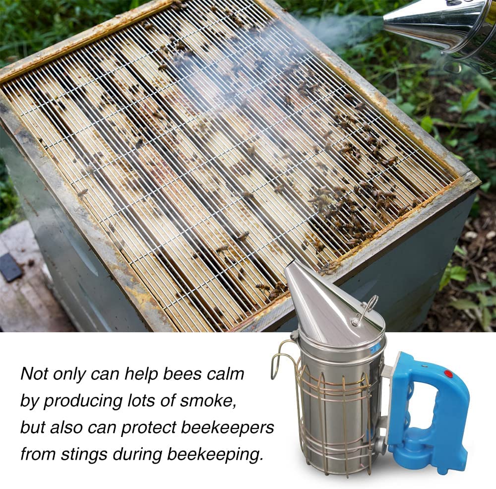 Amazon.com: Queenshow