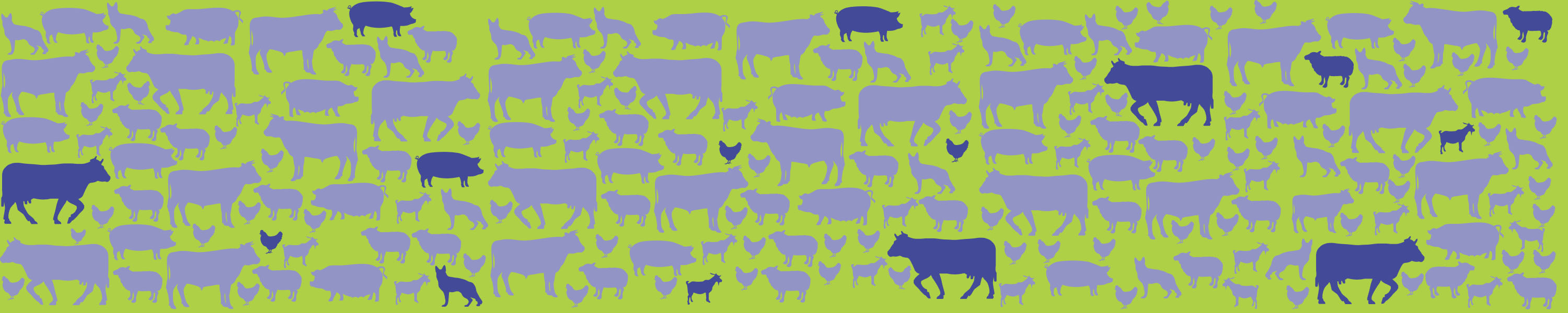 Amazon.com: VETPLUS, FARMATES: ELECTRIC TAIL DOCKER