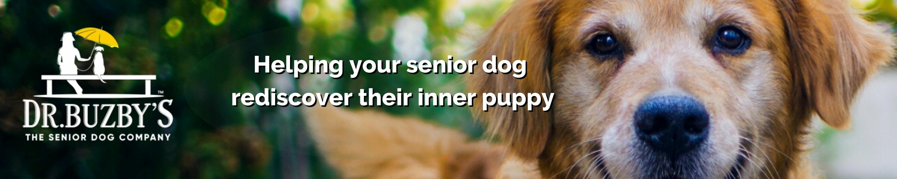 Amazon.com: Dr. Buzby's: Encore Mobility