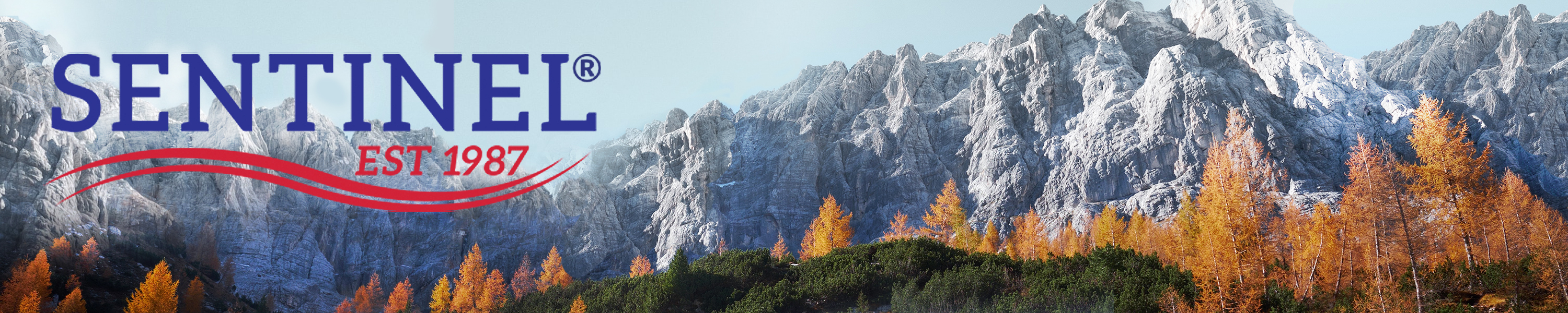 Amazon.com: Sentinel: Women's