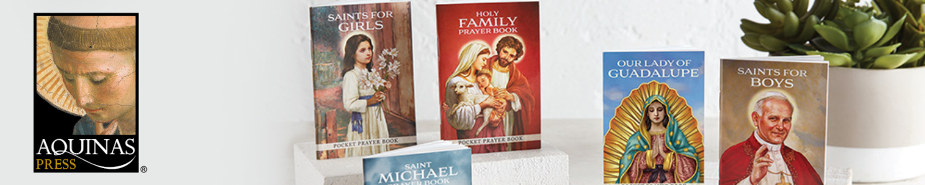 Amazon.com: Aquinas Press