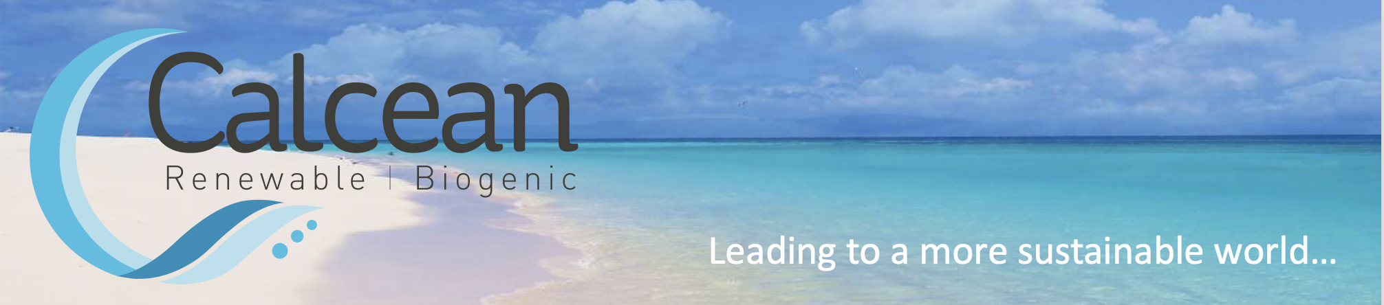 Amazon.com: Calcean: Baha Play Sand