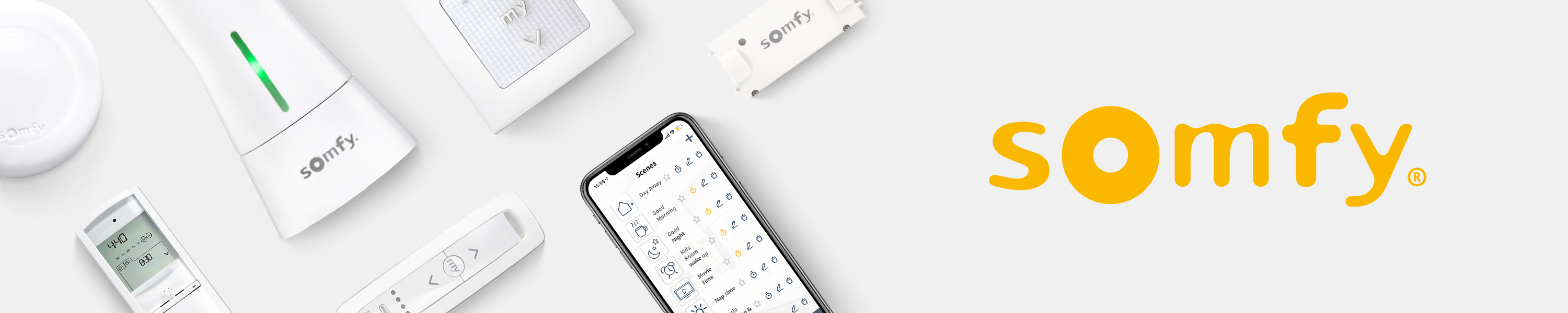 Amazon.com: SOMFY: Sensors