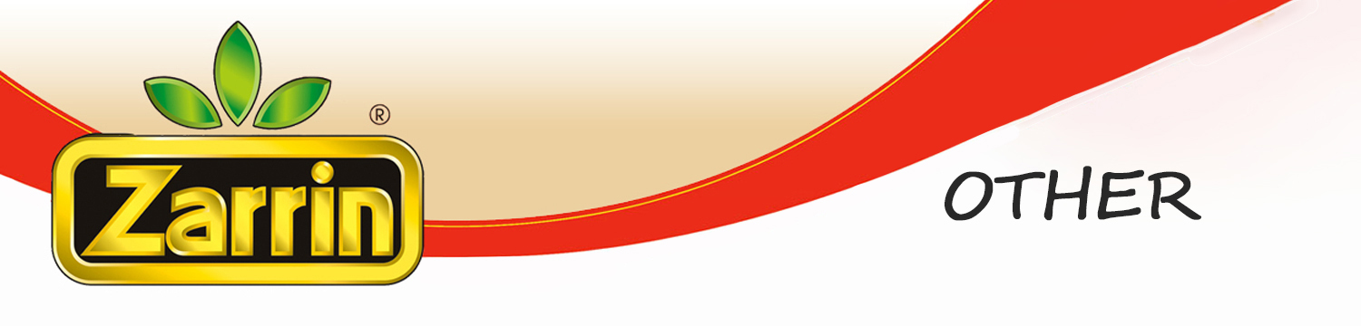 Amazon.com: Zarrin: Other