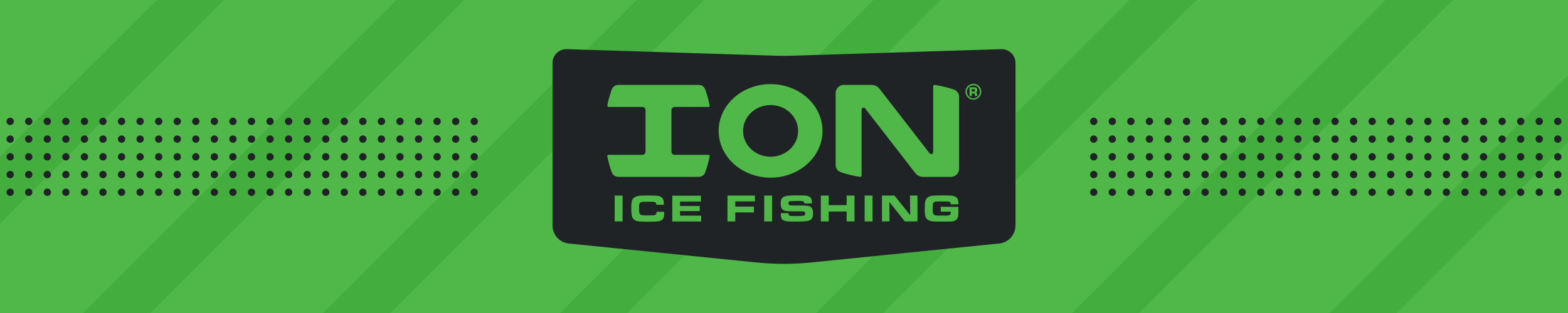 Amazon.com: ION: ION R1