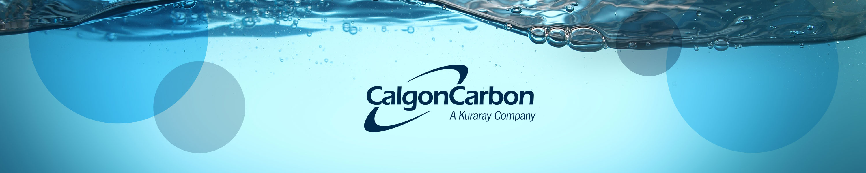 Amazon.com: Calgon Carbon