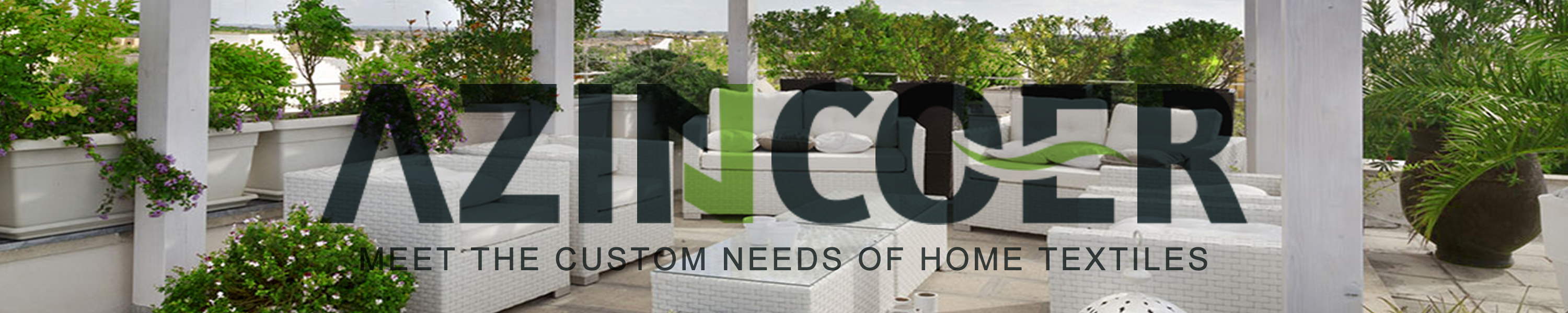 Amazon.com: Azincoer