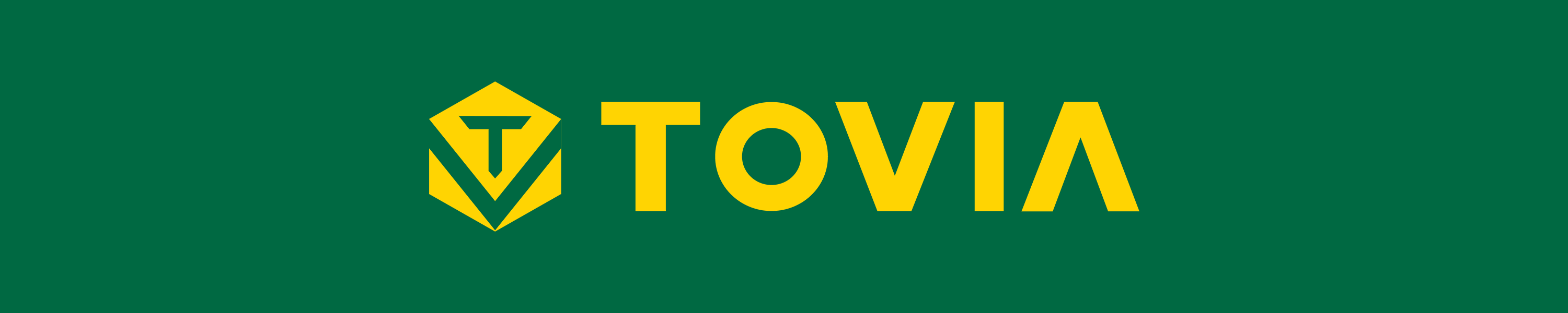 Amazon.com: T TOVIA: Electric Sprayer