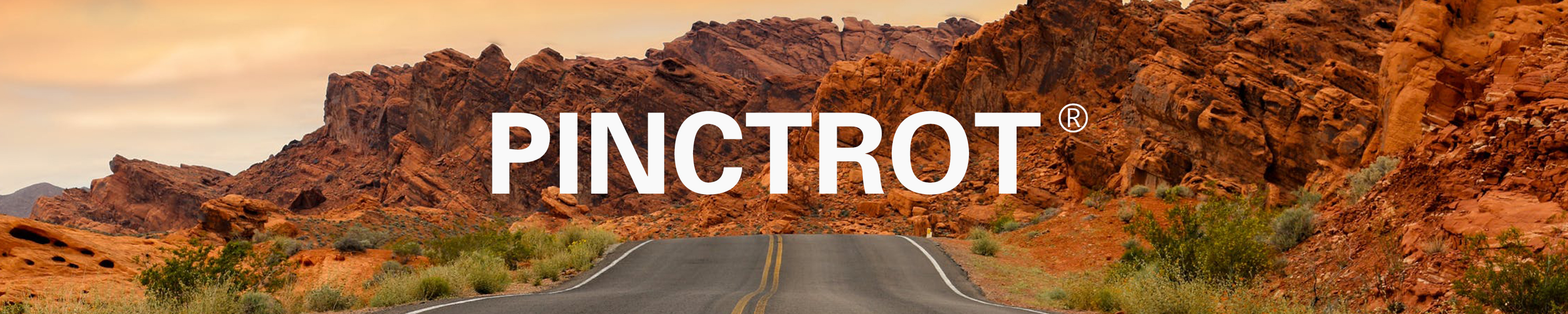 Amazon.com.br: PINCTROT: Steering Wheel Cover for Tesla Model Y/3