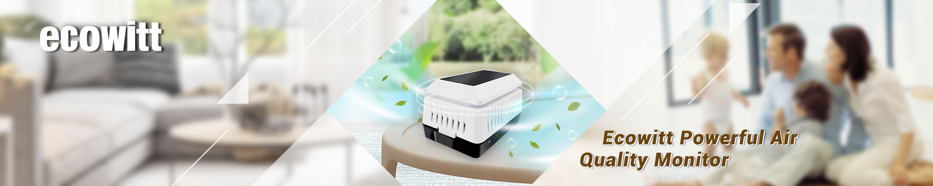 Amazon.com: ECOWITT : Air Quality Sensor