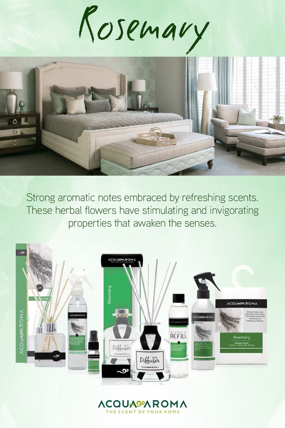 Amazon.com: Acqua Aroma: Rosemary
