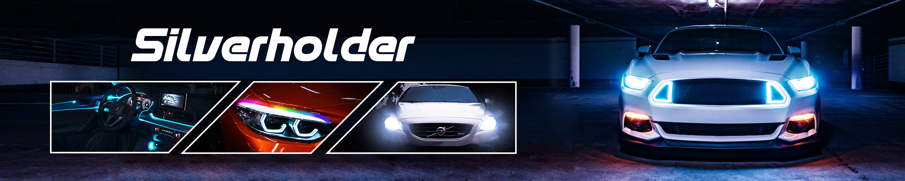 Amazon.com: SilverHolder