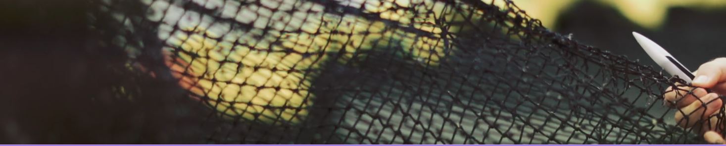 Amazon.com: JUST FOR NETS: Netting Repair Kit