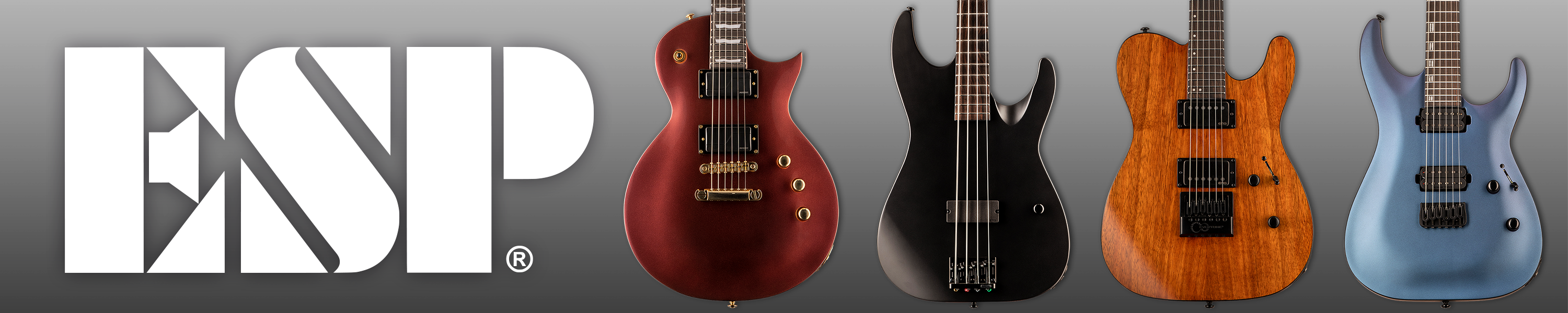 Amazon.com: ESP: Guitar