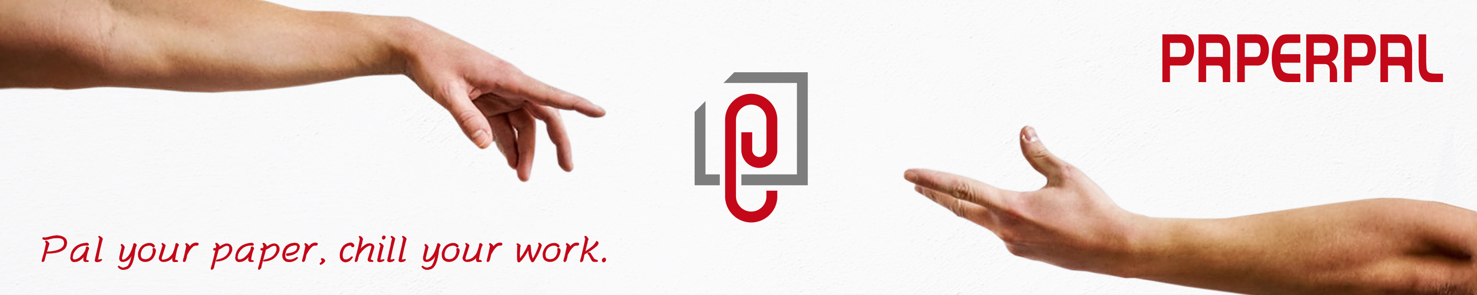 Amazon.com: PAPERPAL Direct: Paper Clips