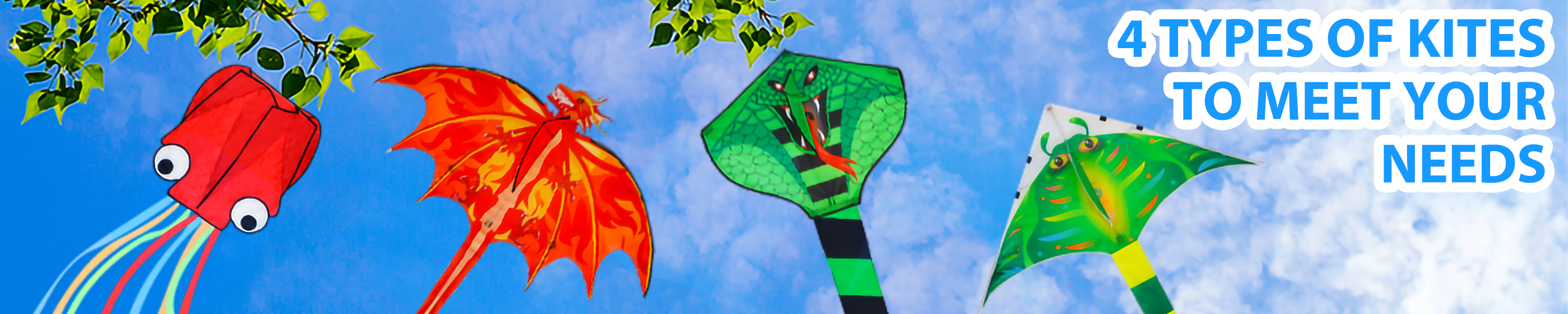 Amazon.com: Crogift: Kite Set