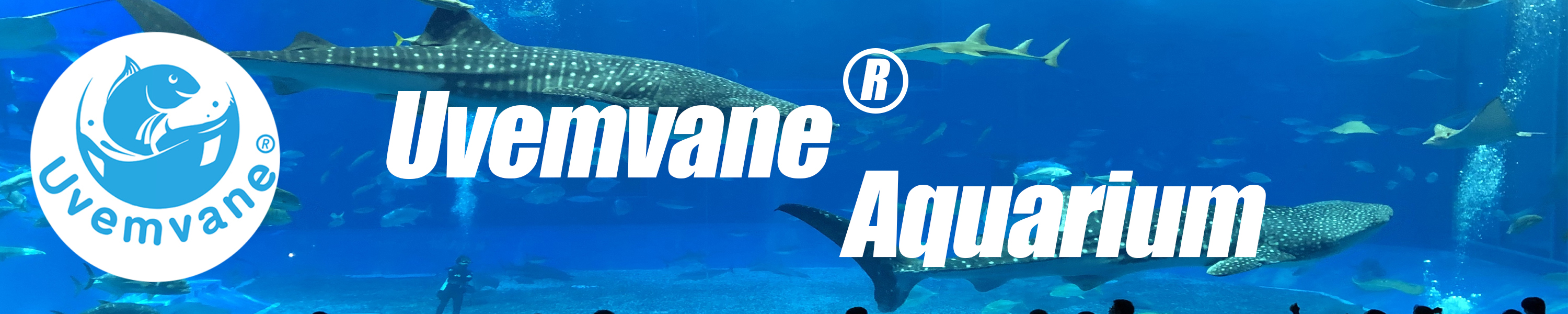 Amazon.com: Uvemvane Aqua