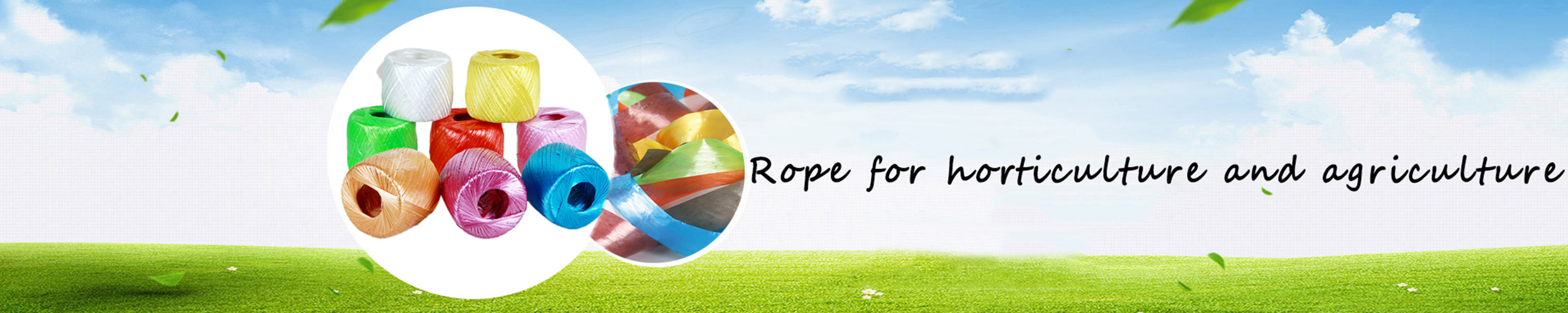 Amazon.com: Cenme: AGRICULTURAL ROPES