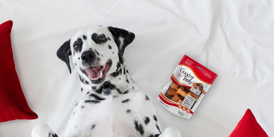 Amazon.com: Spectrum Brands Pet: Dog