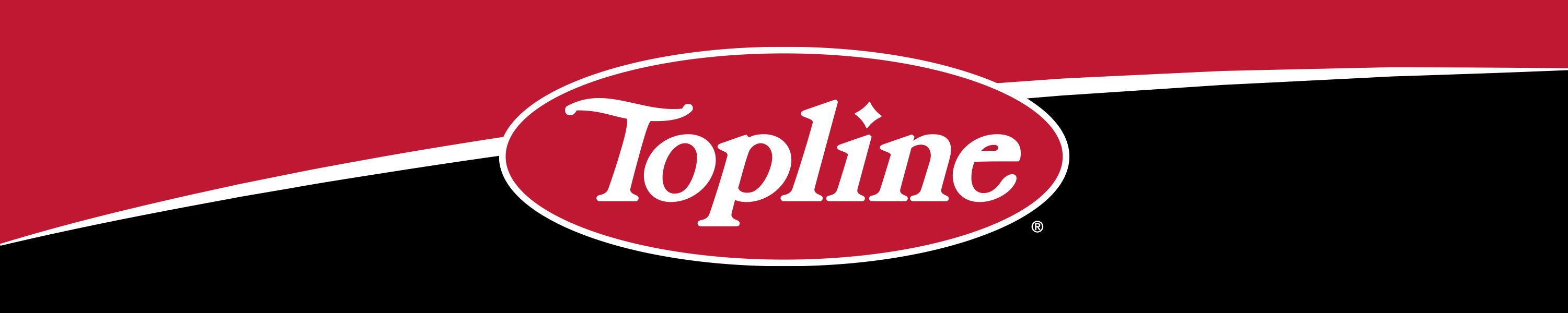 Amazon.com: Topline: Tools