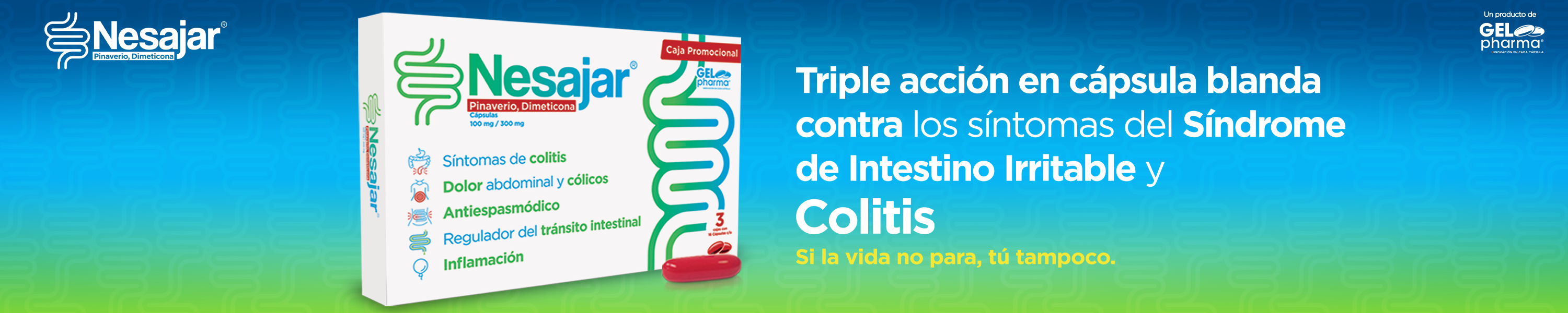 Amazon.com.mx: GELPHARMA ®: NESAJAR