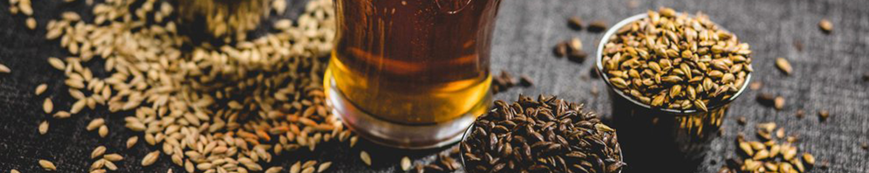 Amazon.ca: PERA HOME BREW: BEER FERMENTATION KIT