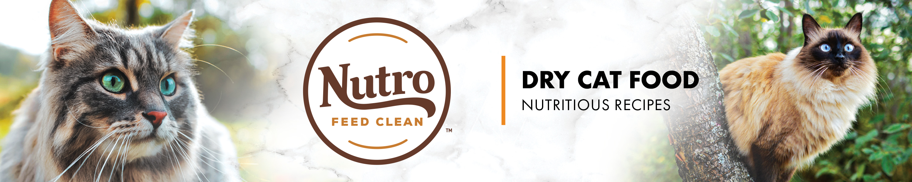 Amazon.ca: NUTRO : ADULT
